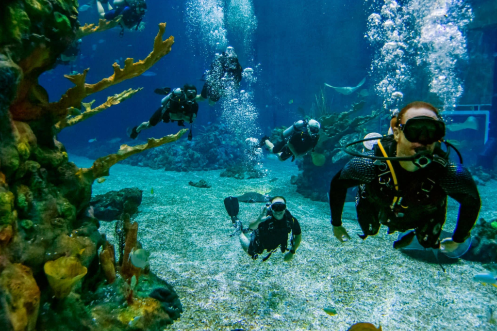 La experiencia DiveQuest Scuba regresará el 1 de mayo a EPCOT - Orlando ...